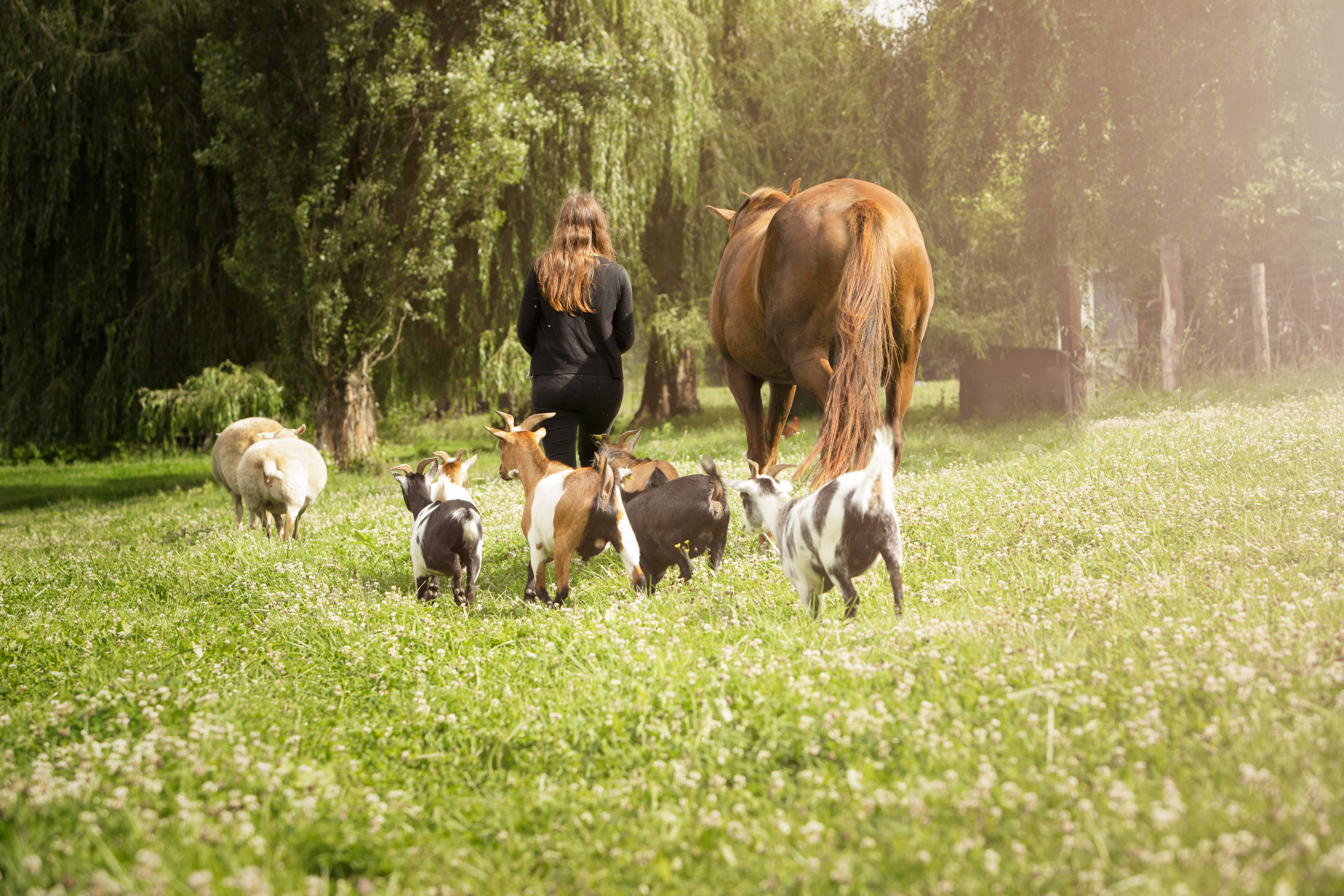 Accueil de Jour – Terr'avie